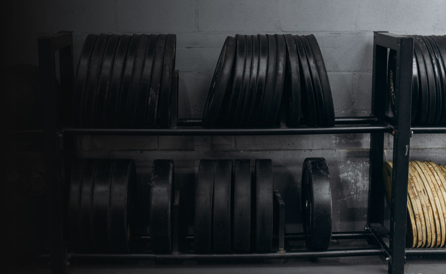 Weight Plates – Muscleiq
